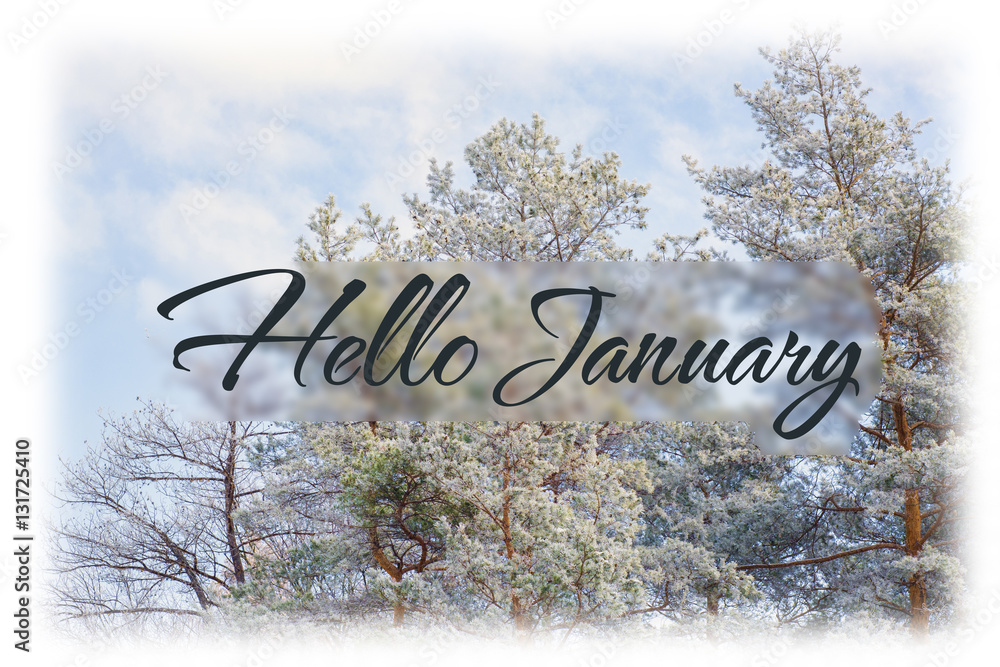 Hello january card. Beautiful winter image - frozen tree branch and ...