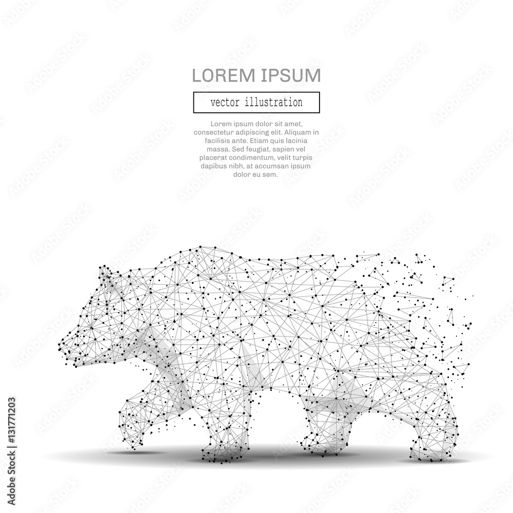 Abstract polygonal space low poly bear with connecting dots and lines ...