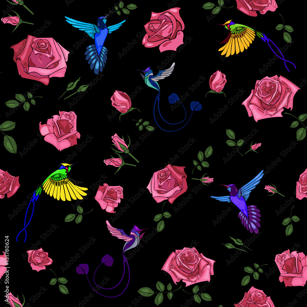 Exotic colibri birds with rose flowers colorful on white background ...