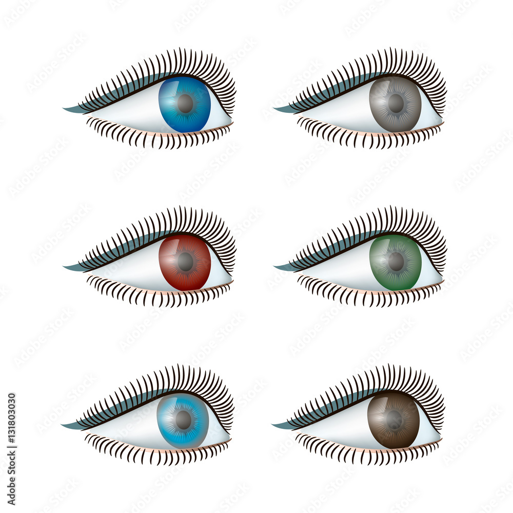 Set female eyes on a white background Stock Vector | Adobe Stock