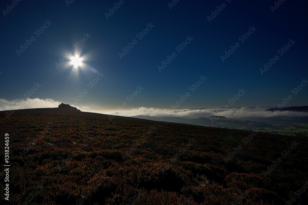 light top Stock Photo | Adobe Stock