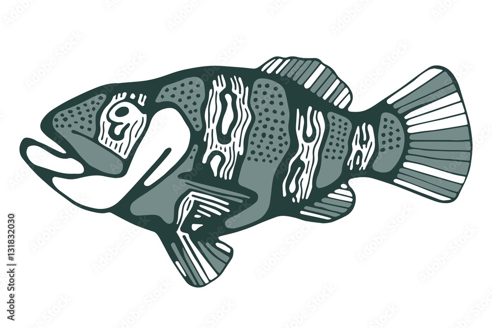 grouper fish. vector illustration Stock Vector | Adobe Stock