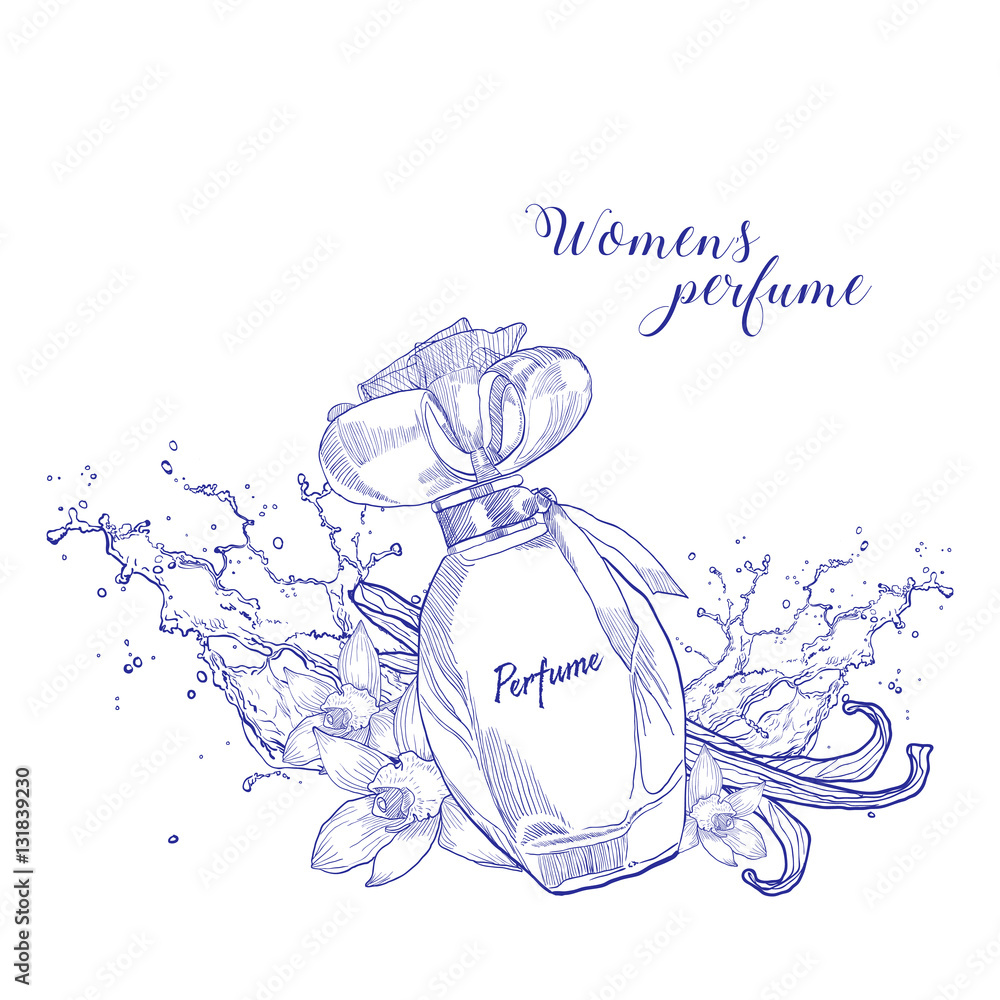 Perfume for women with light notes of vanilla. Pencil sketch. Vector ...