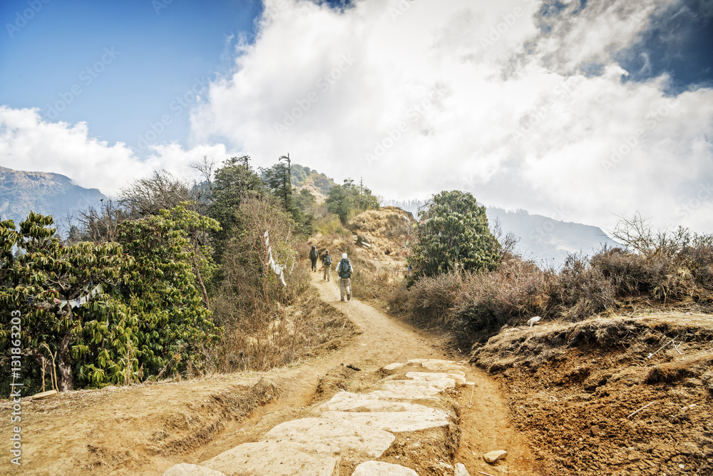 Trekking in Nepal. Group of people hiking through rododendron forest ...