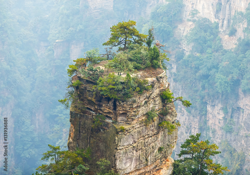 Top of rock column (Avatar rocks). Zhangjiajie National Forest Park was ...