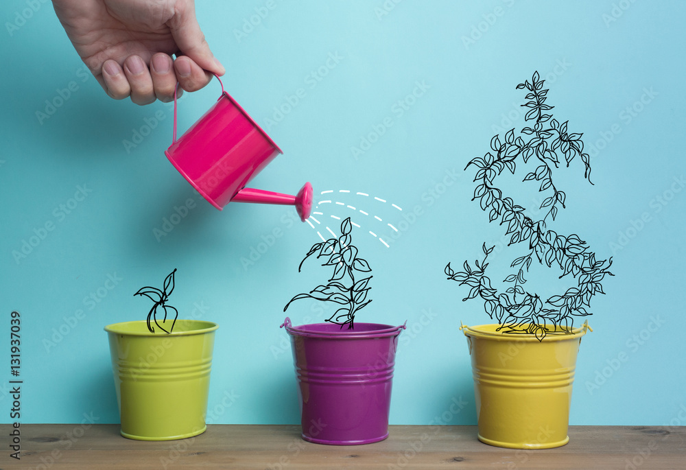 Growing Money Trees A Business Hand Watering Money Trees Over Color