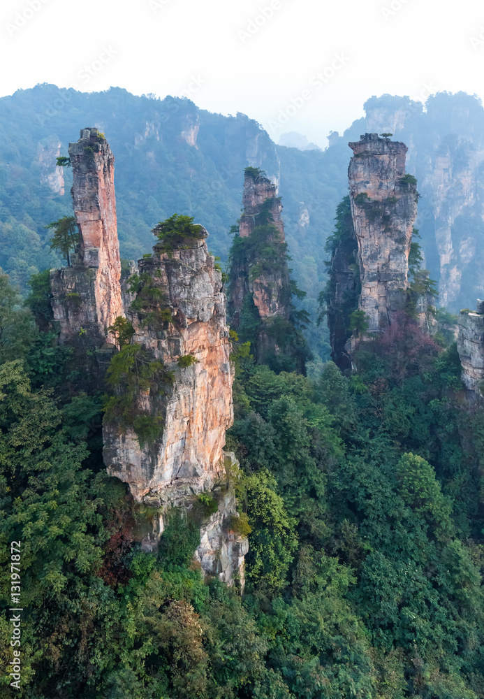 Group of rock columns mountain (Avatar rocks). Zhangjiajie National ...