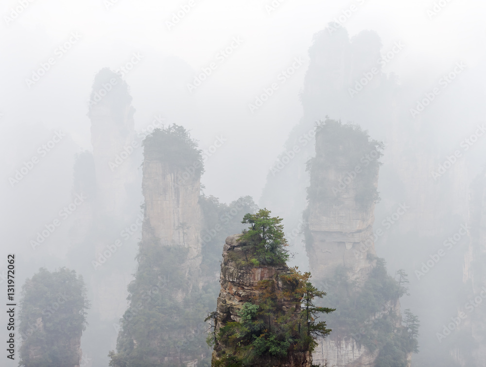 Group of rock columns mountain (Avatar rocks) in the mist. Zhangjiajie ...