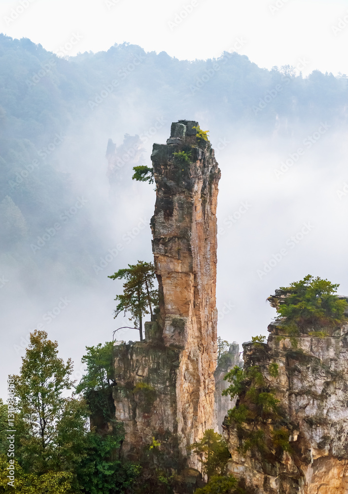 Single stone column mountain (Avatar rocks) in the mist. Zhangjiajie ...