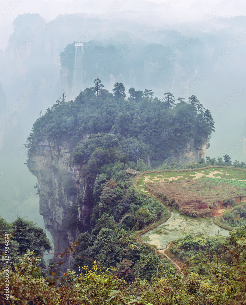 The rock columns mountain (Avatar rocks). Zhangjiajie National Forest ...