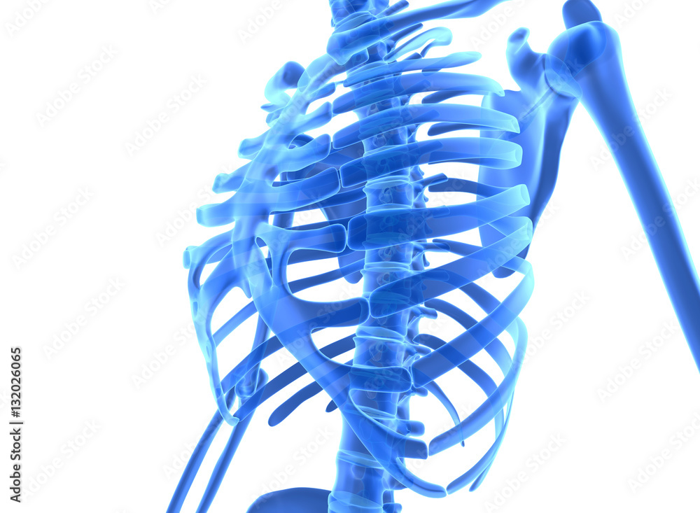 3D illustration of shiny blue skeleton system. ilustración de Stock ...