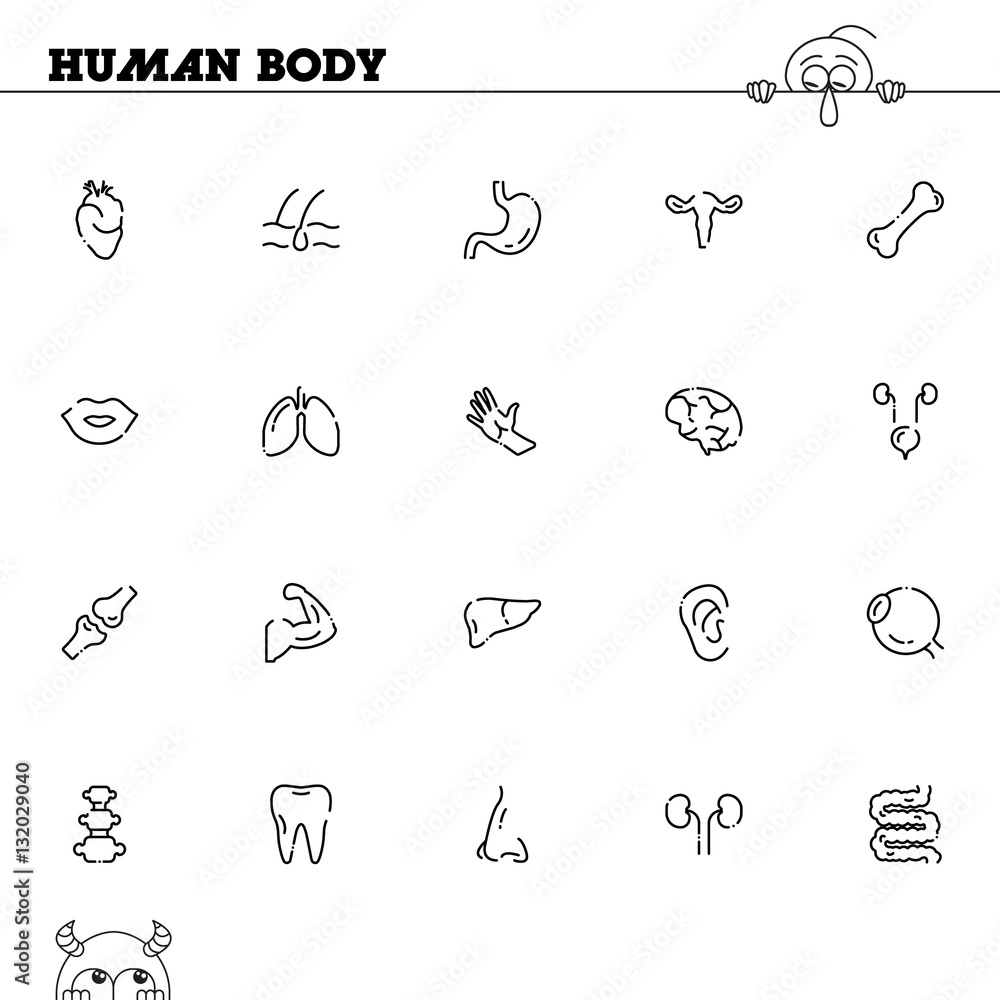 Human body icon set Stock Vector | Adobe Stock