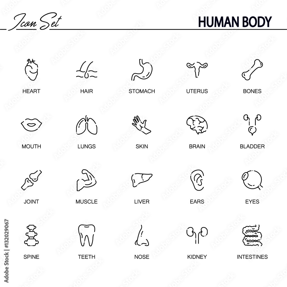 Human body icon set Stock Vector | Adobe Stock