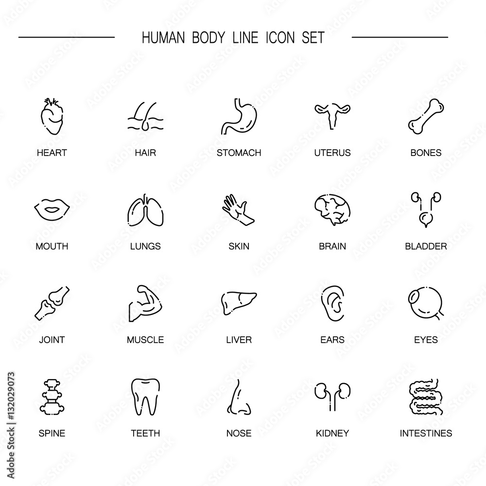 Human body icon set Stock Vector | Adobe Stock
