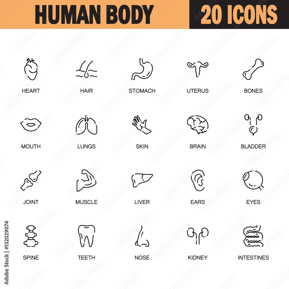 Human body icon set Stock Vector | Adobe Stock