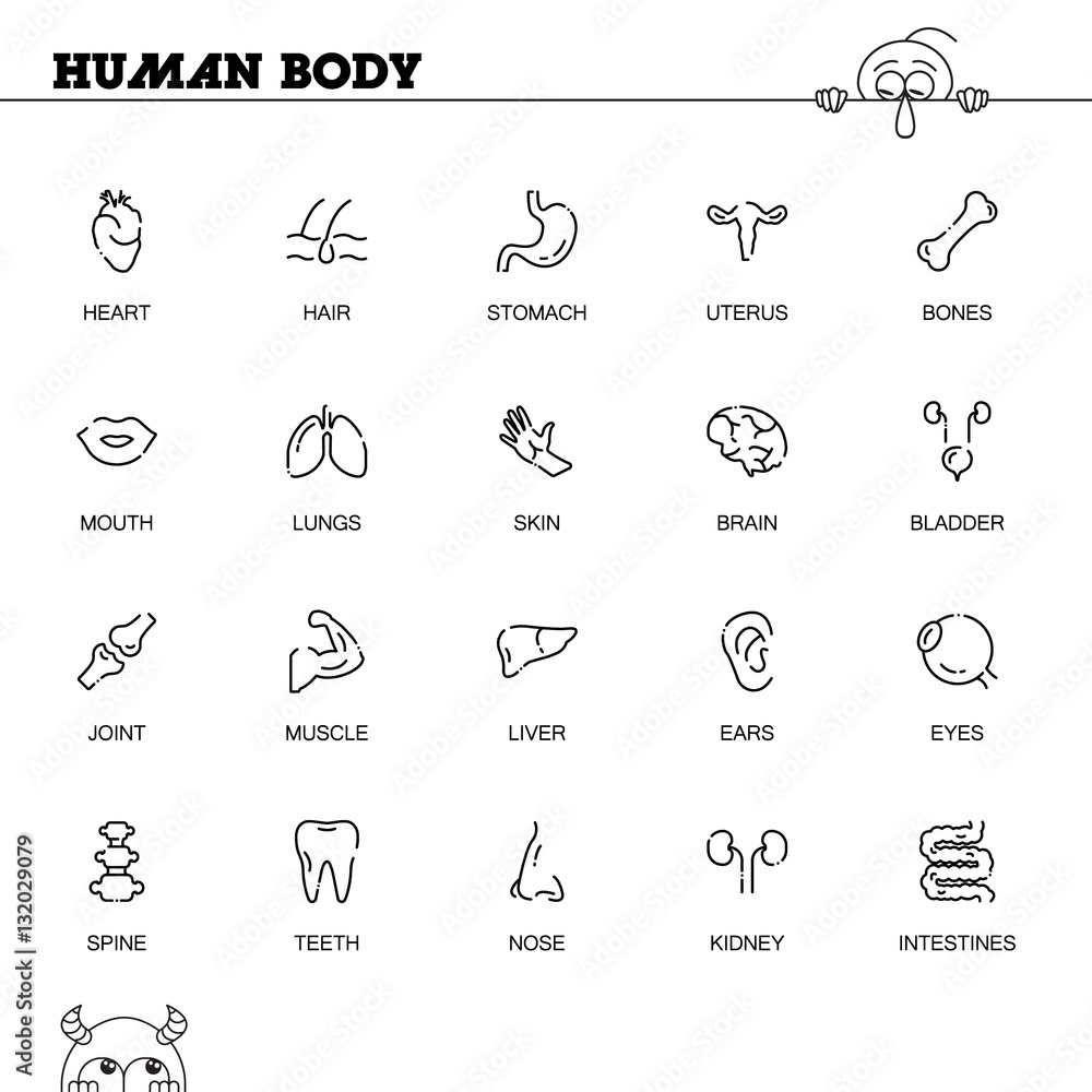 Human body icon set Stock Vector | Adobe Stock