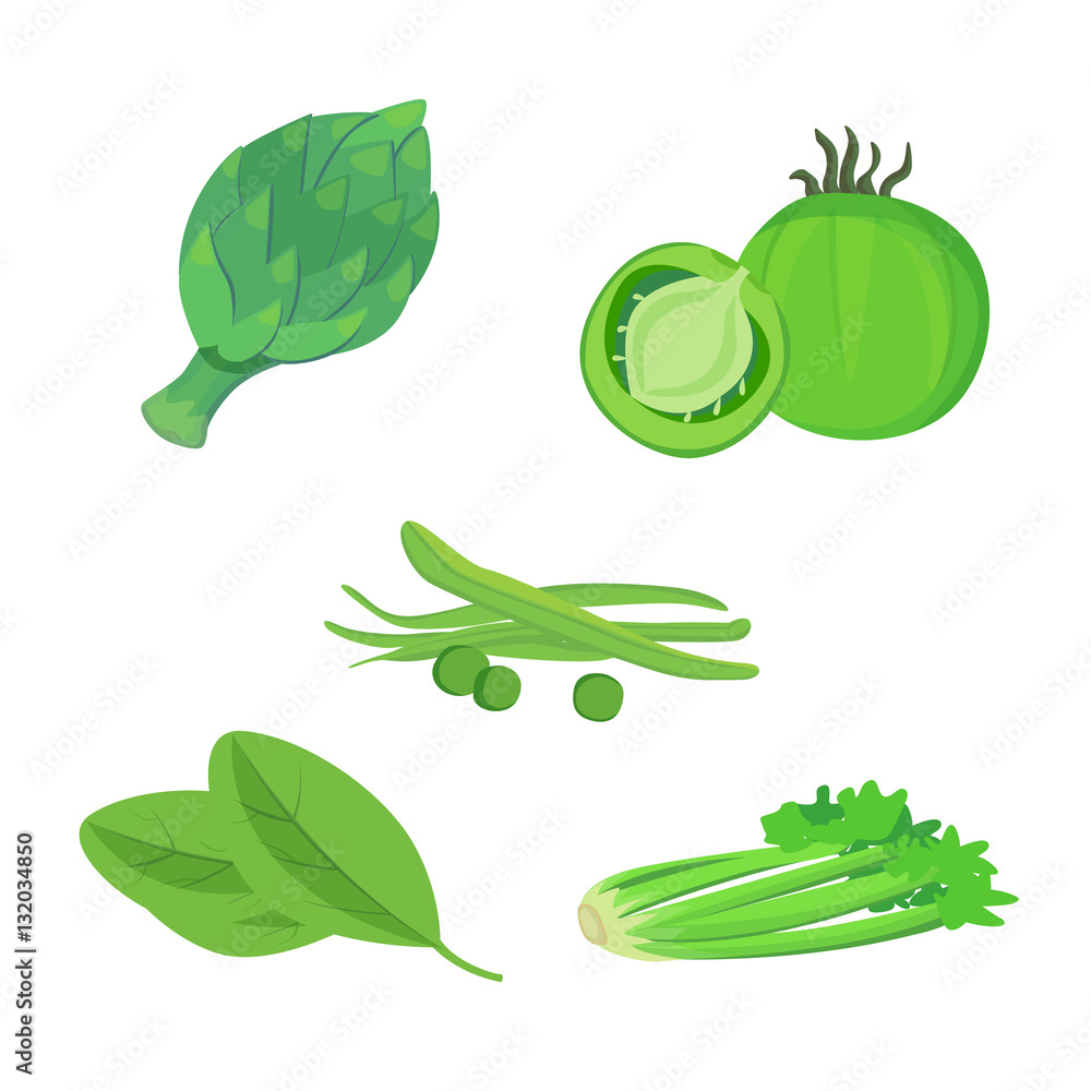 Fresh organic green food vector set Stock Vector | Adobe Stock