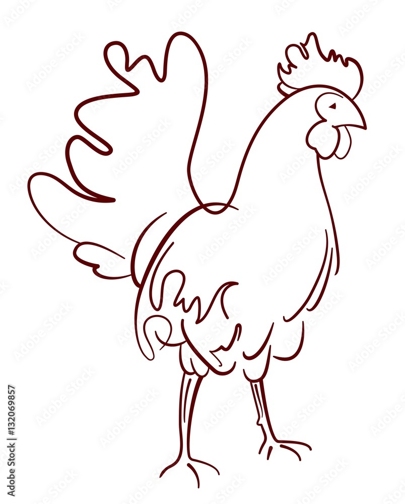 Rooster. Vector outline cartoon illustration of a cock on white ...