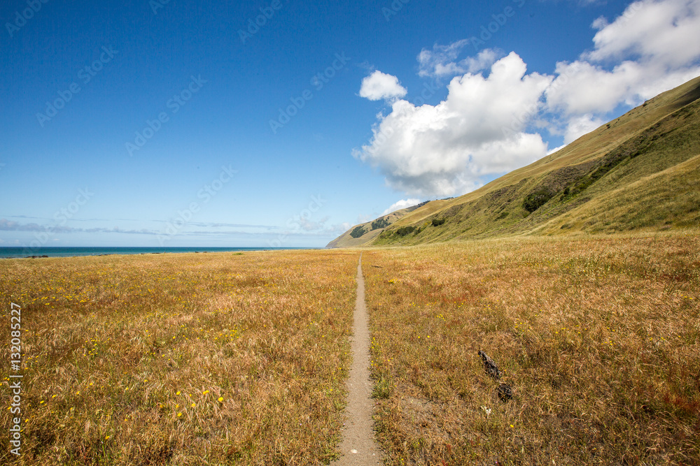 Long Pathway Stock Photo | Adobe Stock