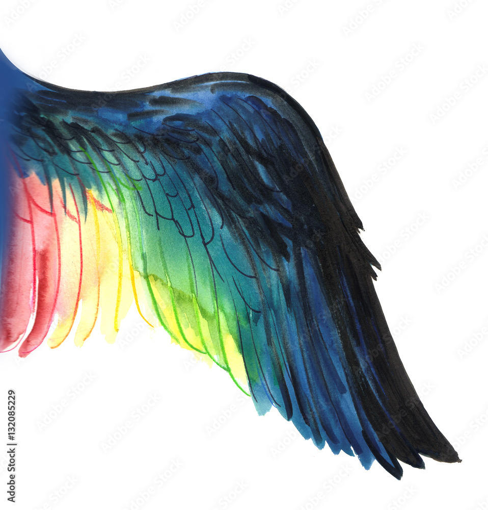Rainbow wing Stock Illustration | Adobe Stock