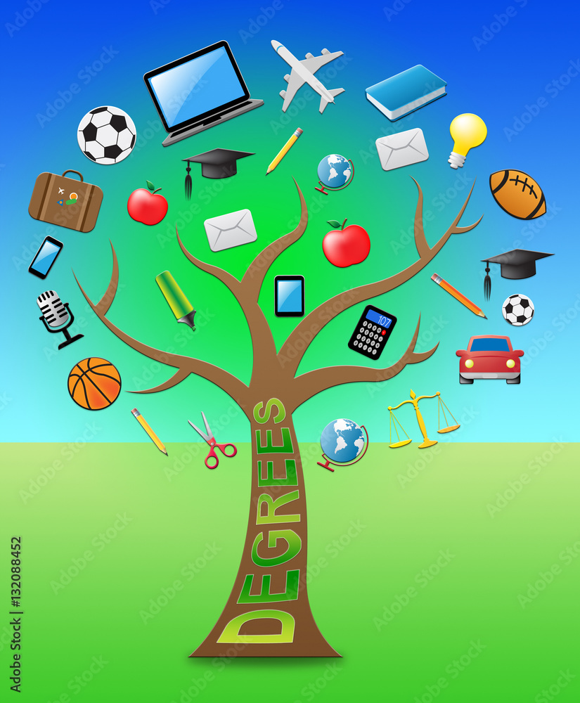 Degree Tree Shows Degrees And Qualifications 3d Illustration Stock ...