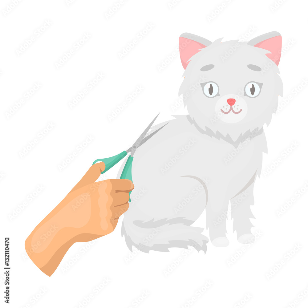 Grooming of a cat icon in cartoon style isolated on white background ...