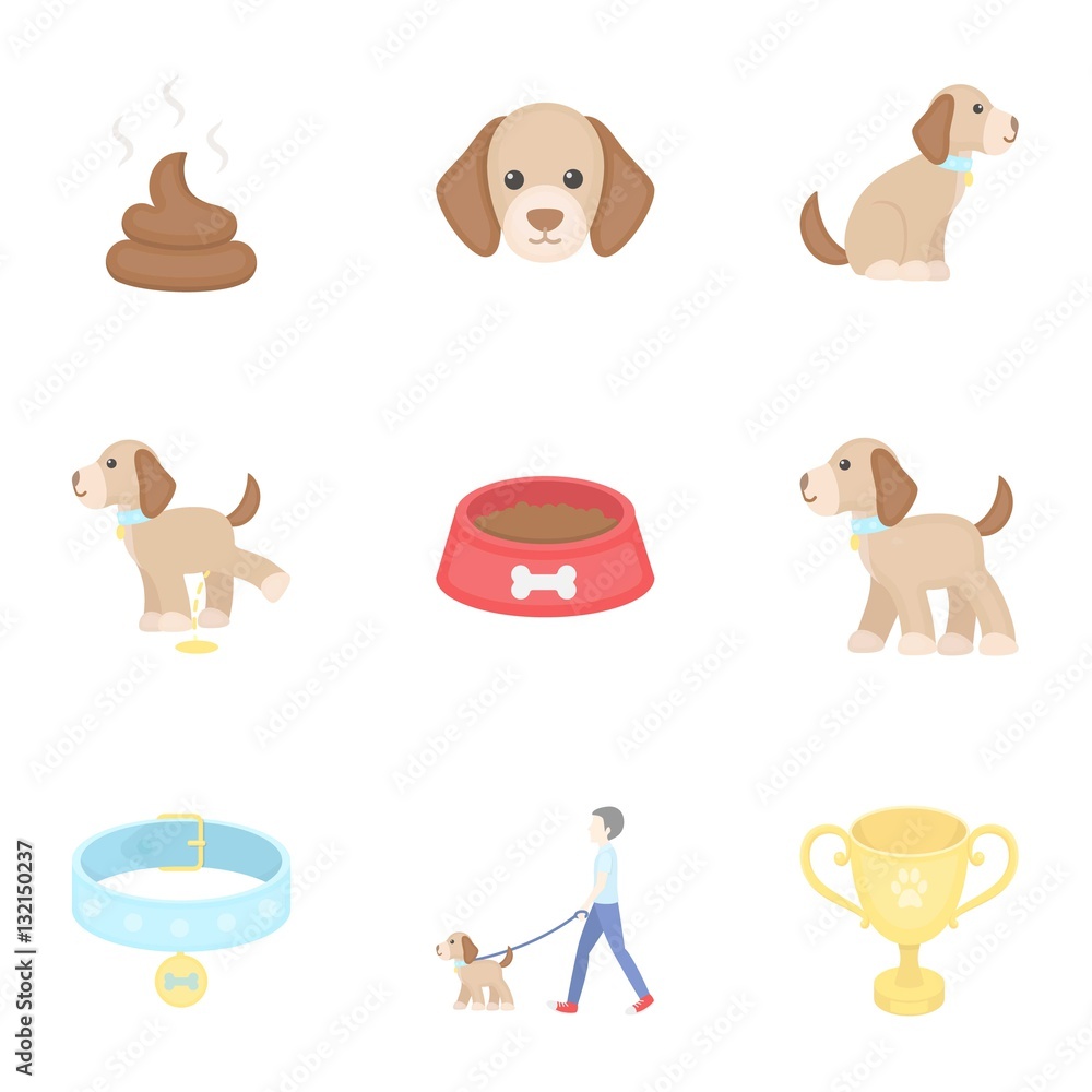 Dog equipment set icons in cartoon style. Big collection dog equipment ...