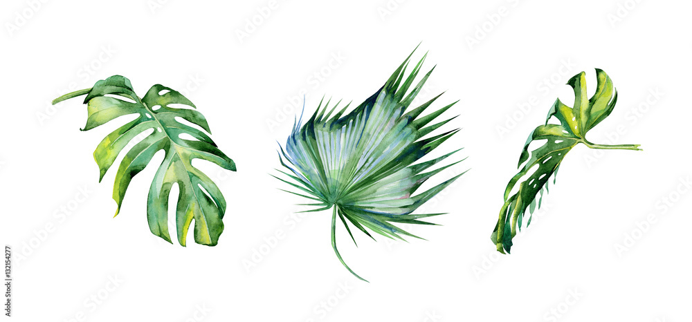 Watercolor illustration of tropical leaves, dense jungle. Hand painted ...