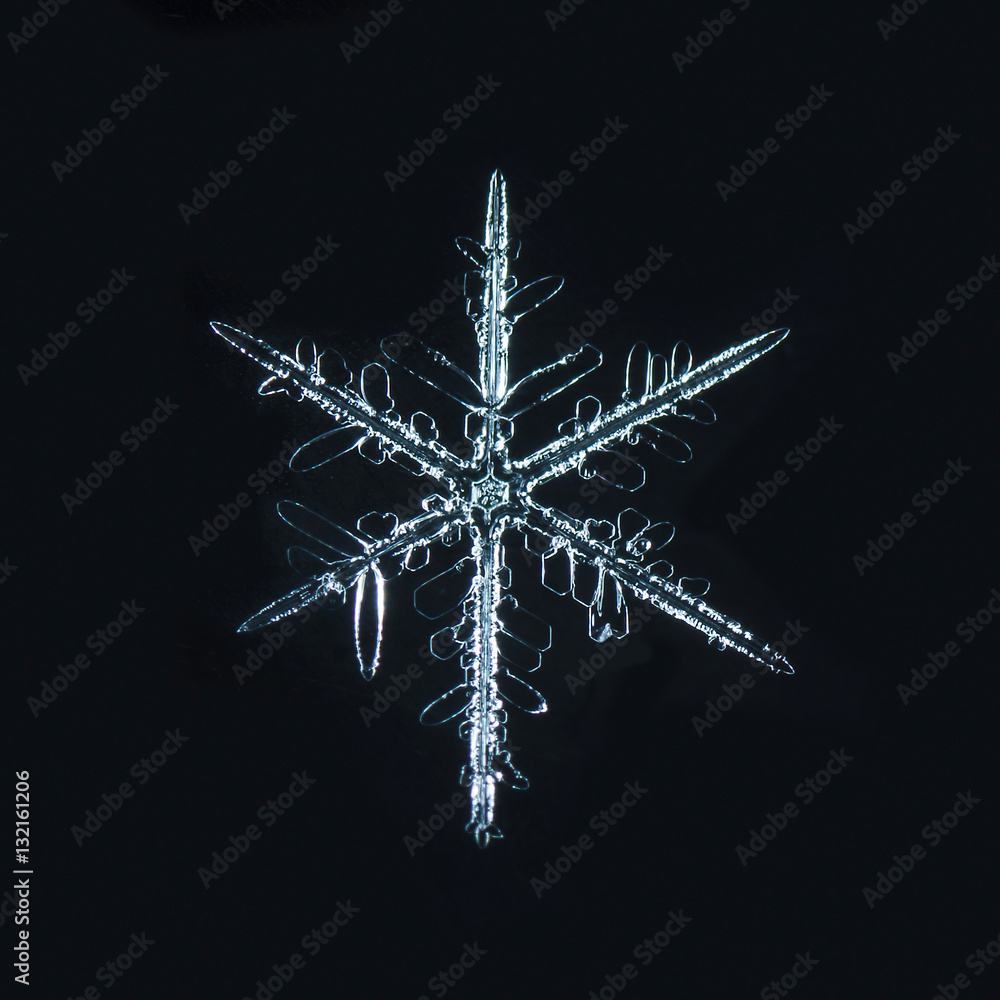 photo real snowflakes during a snowfall, under natural conditions at ...