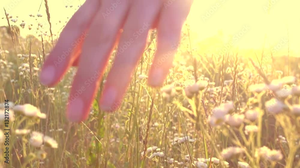 Young woman hand running through wild meadow field. Female hand ...
