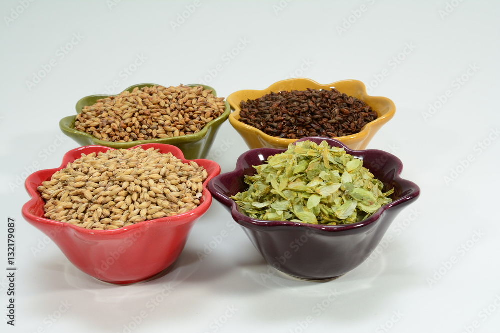 Home brew beer ingredients hops and 3 different grains isolated on ...