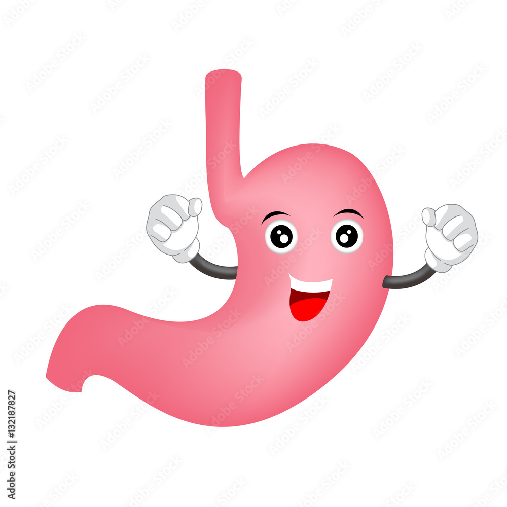 Cute cartoon stomach character. Healthy internal organ concept ...