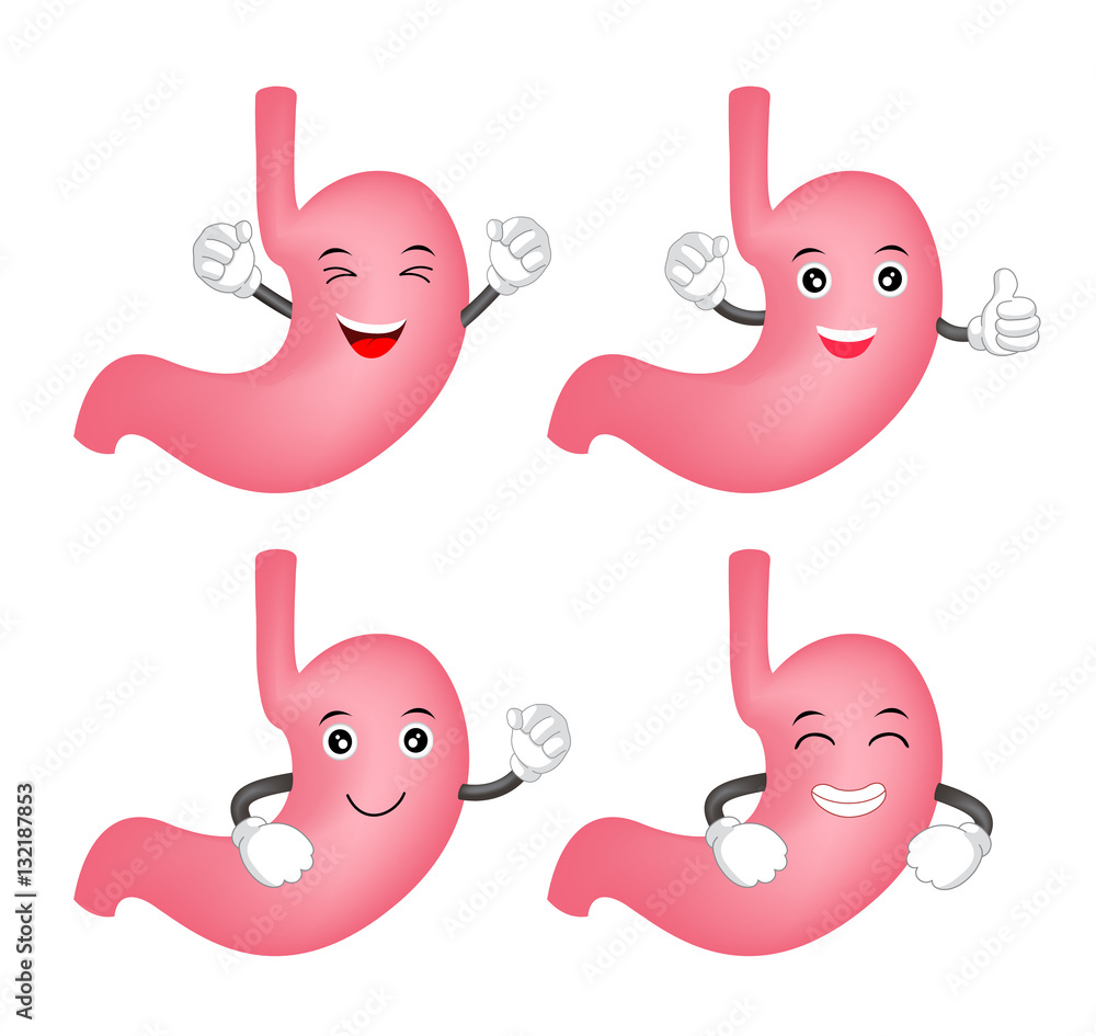 Happy cartoon stomach character set. Healthy internal organ concept ...