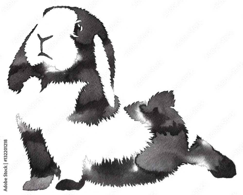 black and white monochrome painting with water and ink draw rabbit ...