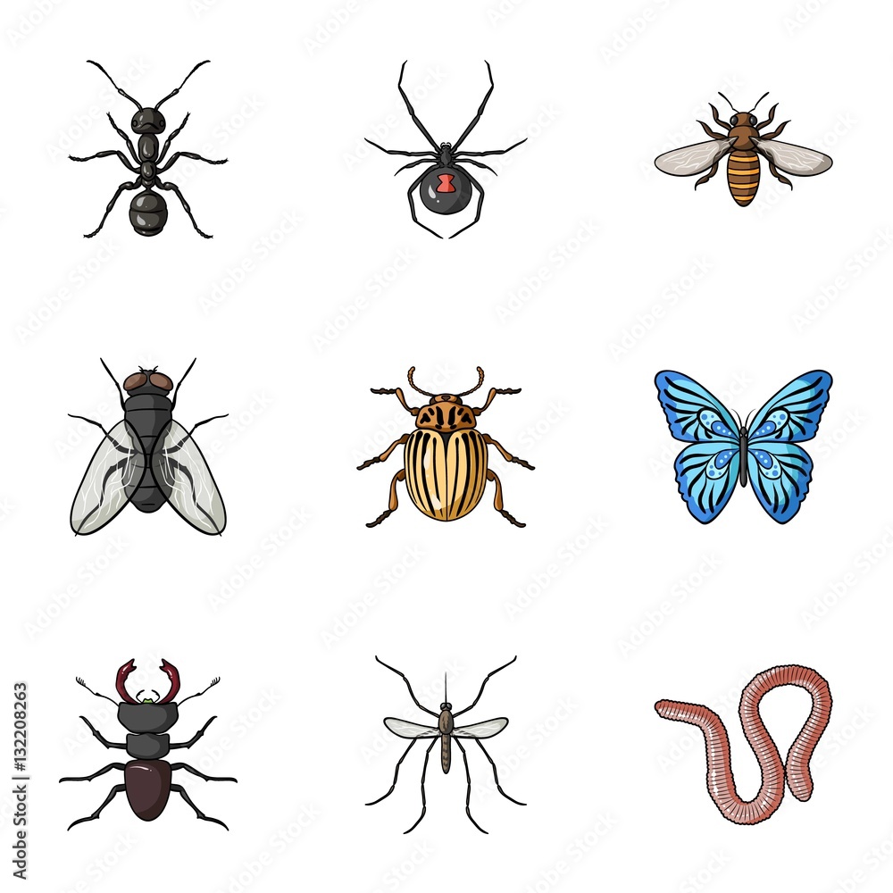 Vetor de Insects set icons in cartoon style. Big collection of insects ...