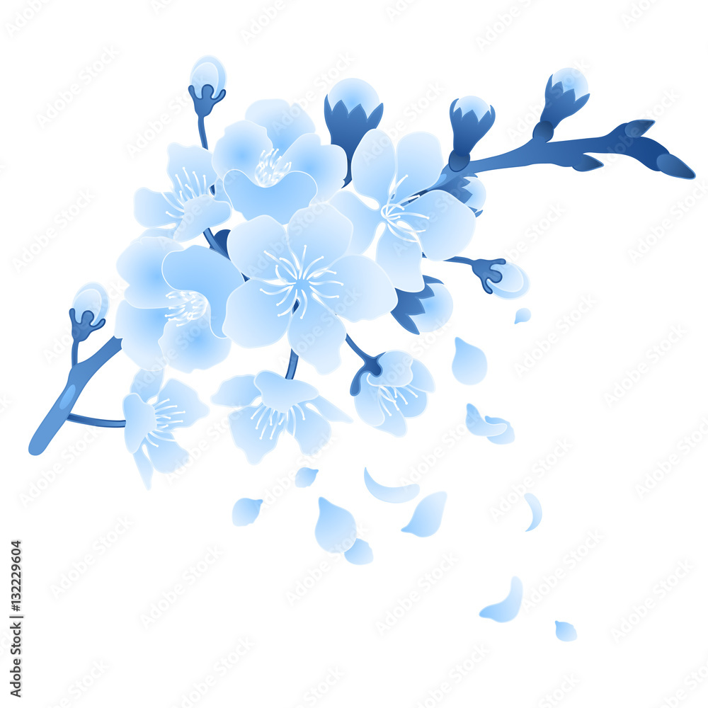 Graphic sakura flowers Stock Vector | Adobe Stock