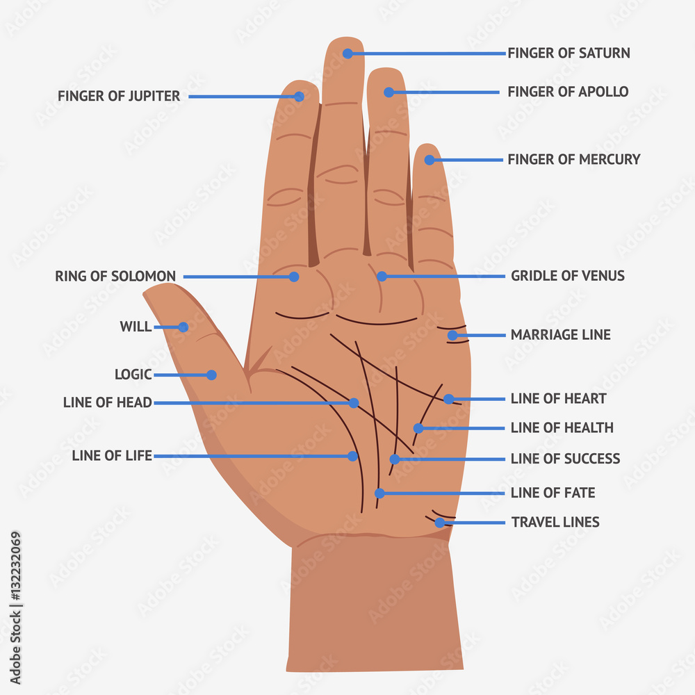Palmistry. Open hand lines and symbols mystical reading vector ...