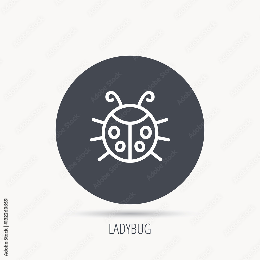 Ladybug icon. Ladybird insect sign. Flying beetle bug symbol. Round web ...