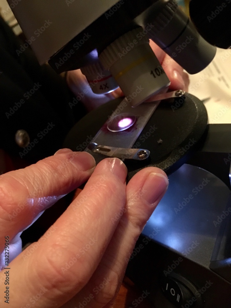 microscope Stock Photo | Adobe Stock