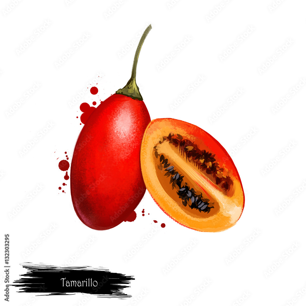 Tamarillo fruit isolated on white. Digital art watercolor illustration ...
