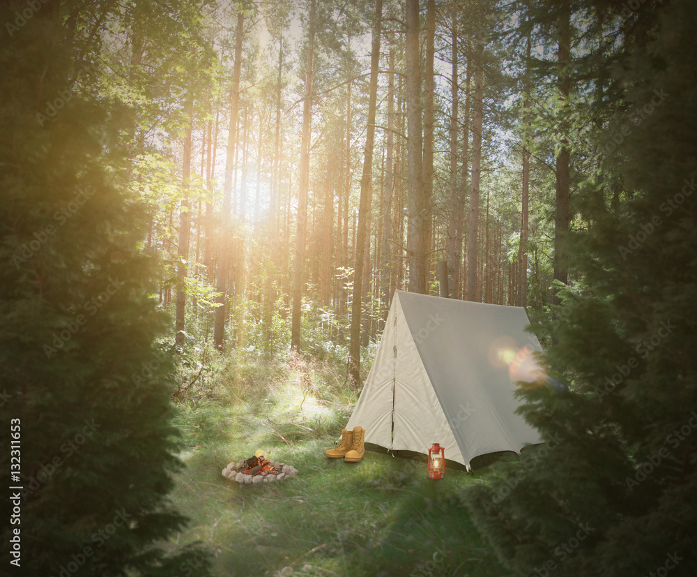 Zelt im Wald beim Zelten in der Natur Stock Illustration | Adobe Stock