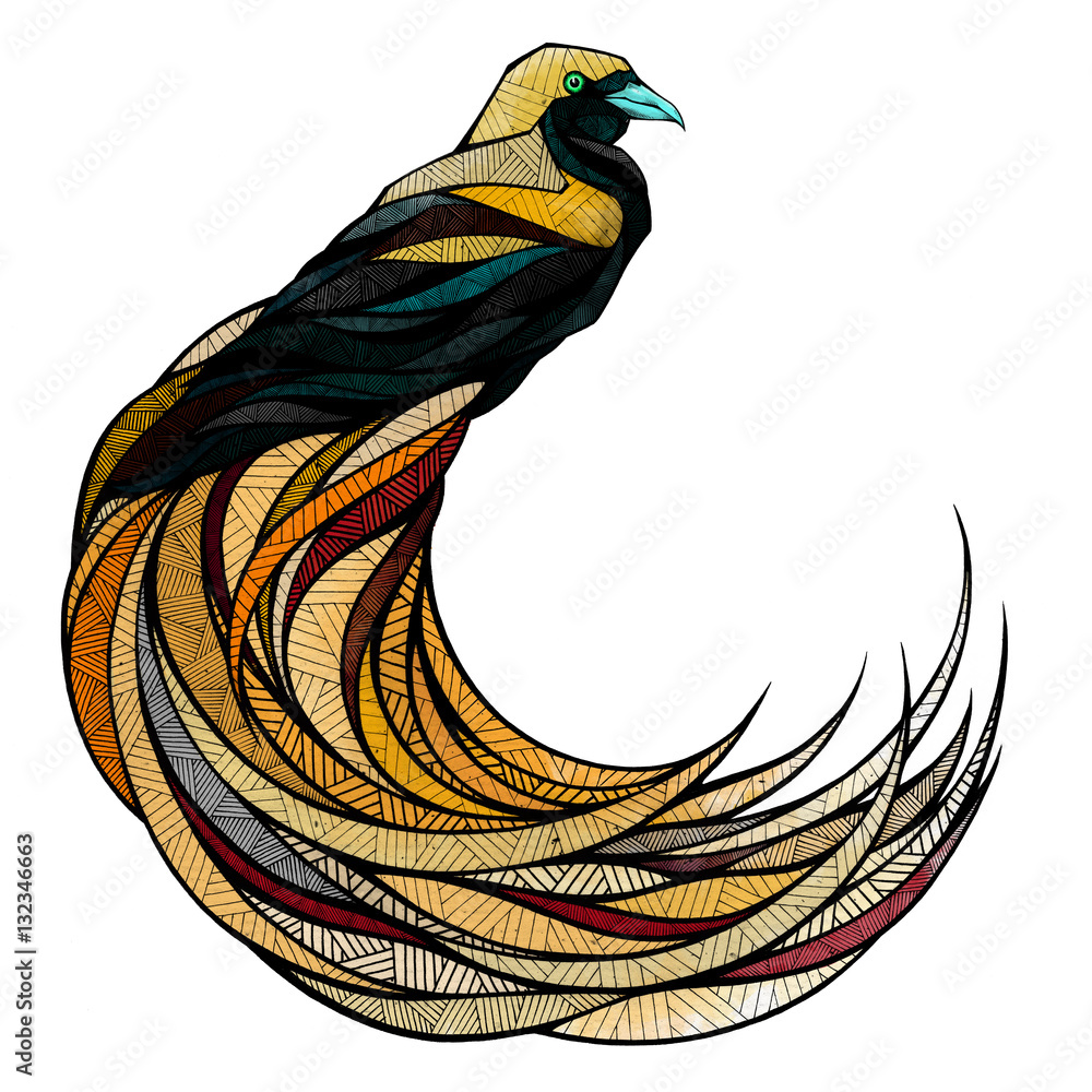 Bird of paradise, illustration Stock Illustration | Adobe Stock