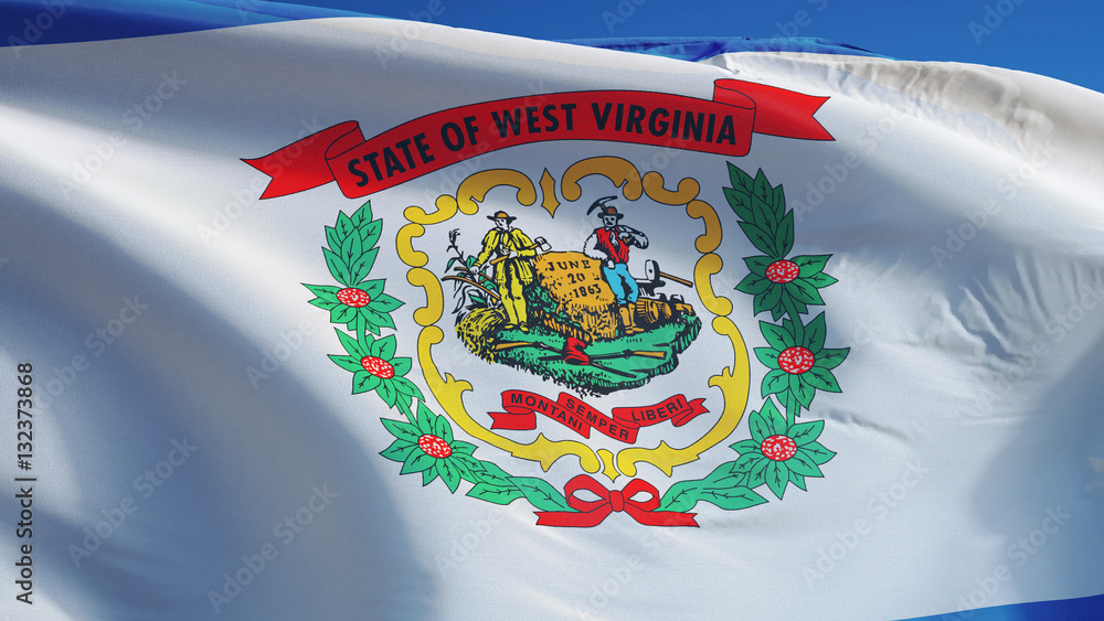 West Virginia (U.S. state) flag waving against clear blue sky, close up ...