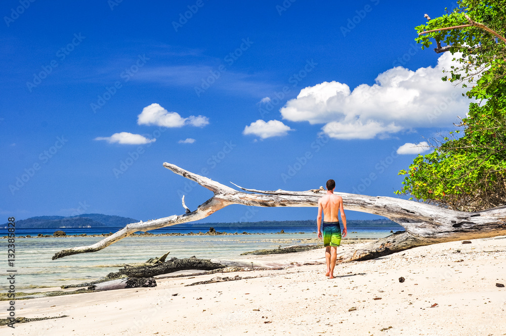 Stunning view of Elephant Beach on Havelock Island. A beautiful tree ...