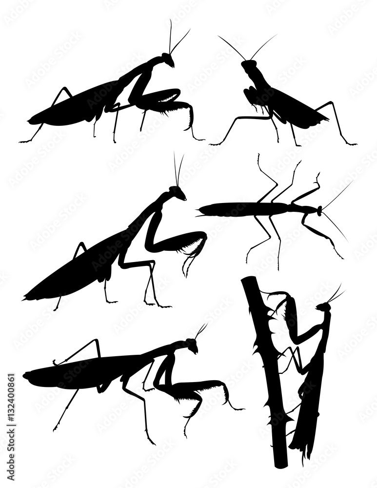 Praying mantis animal silhouette. Good use for symbol, logo, web icon ...