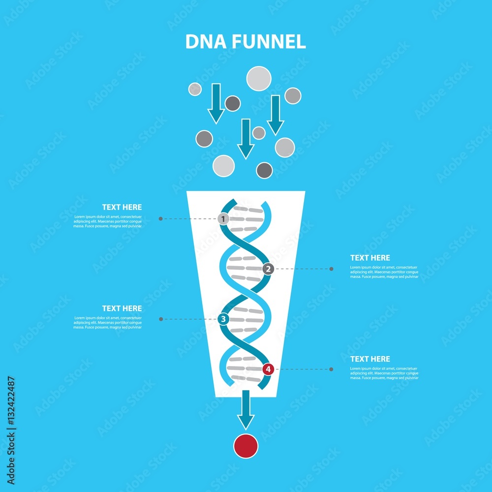 DNA Funnel. Process template. Vector infographics. Stock Vector | Adobe ...