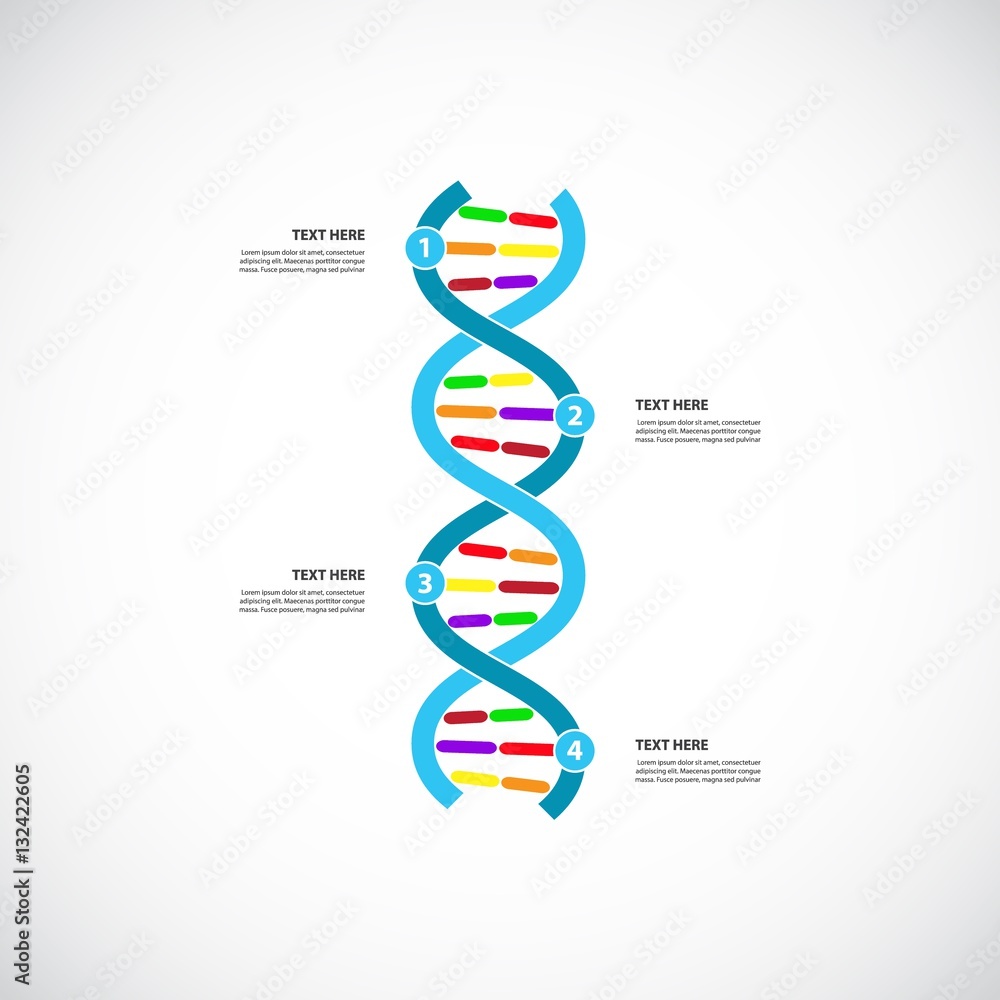 DNA timeline. Process template. Vector infographics. Stock Vector ...