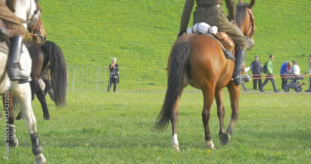 Vidéo Stock Horses' Backsides and Tails Group of Soldiers Rehearsing ...