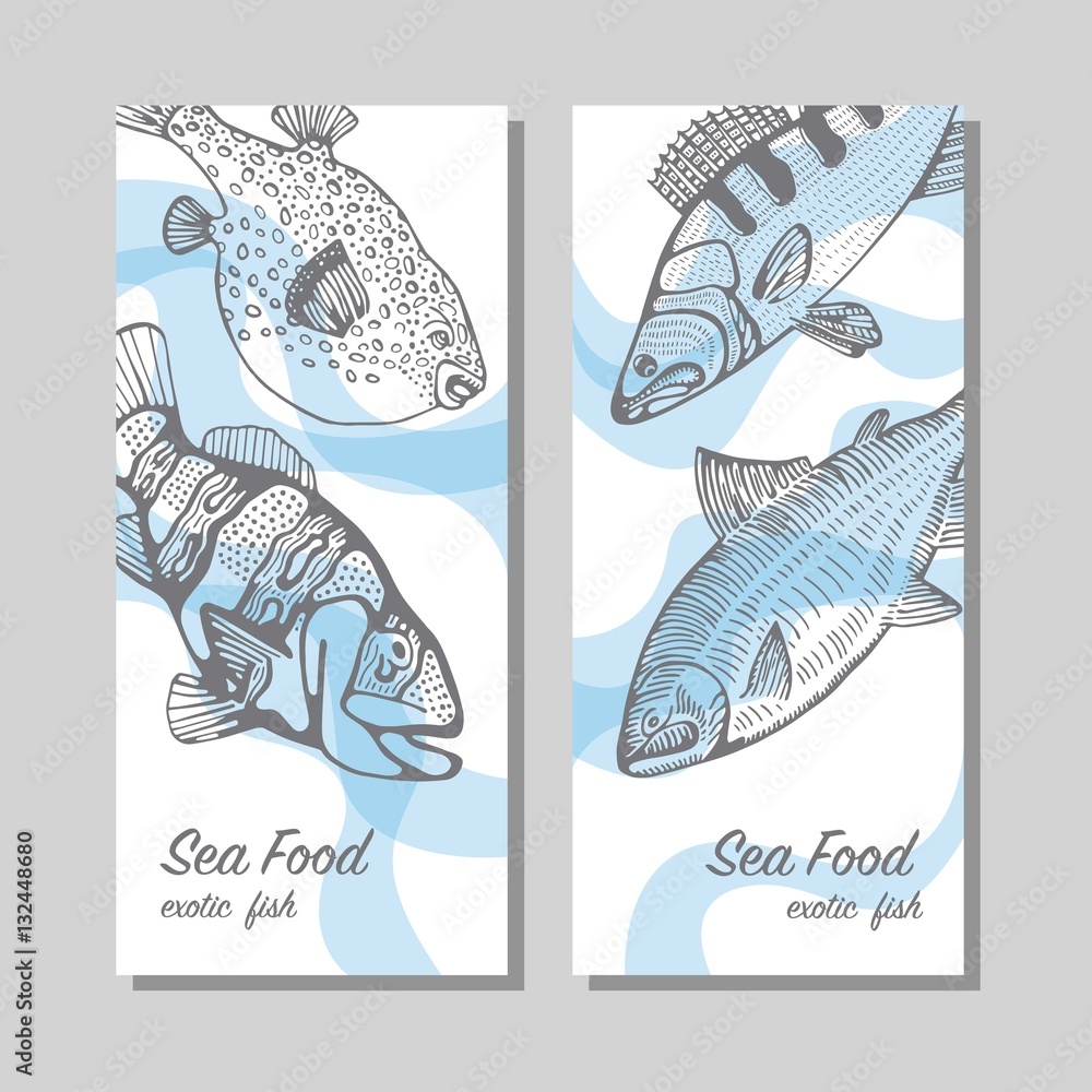 universal cards with drawings of marine fish. Creative vector banners ...