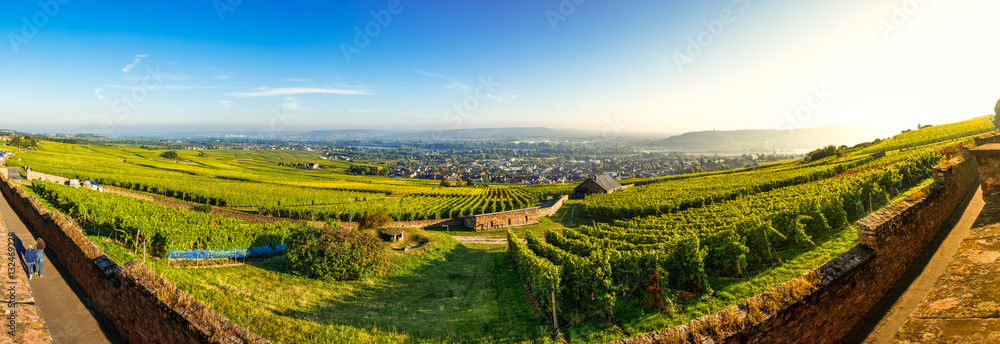 Panoramablick über den Rheingau bei Rüdesheim Stock Photo | Adobe Stock
